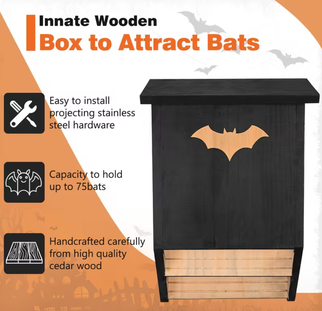Wooden Bat Box 15" – mybatsurvey.co.uk